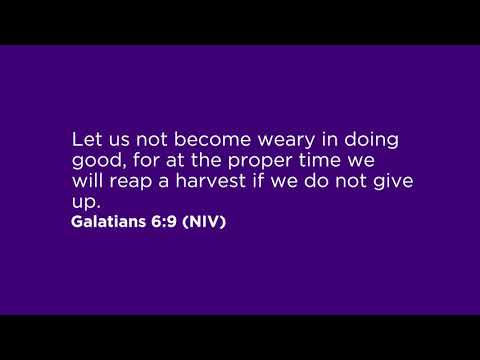 Verse of the Day-Galatians 6:9 (NIV)