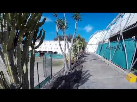 Urlaubsvideo × Robinson Club Esquinzo Playa Fuerteventura ❤