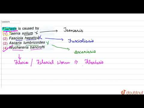Filariasis is caused by