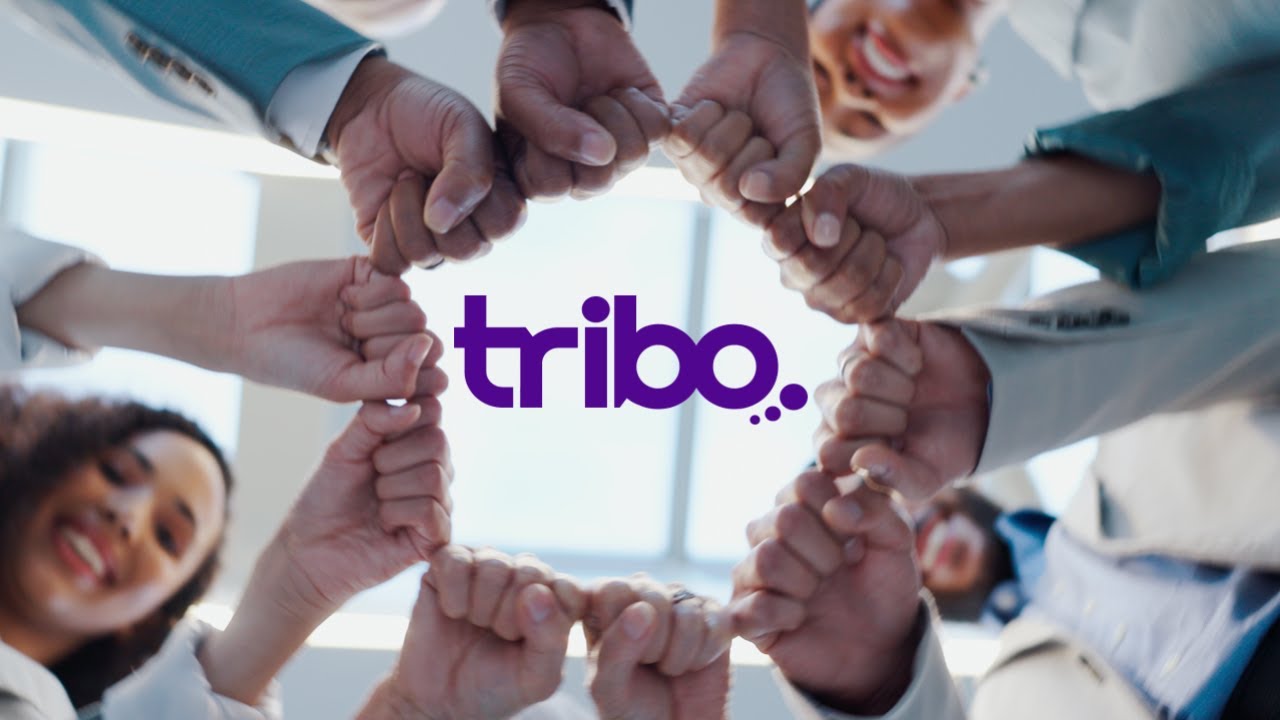 Descubra o novo logotipo da Agência Tribo: uma identidade visual de ...