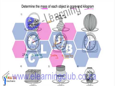 Interpret the calibrations on various kitechen scales demo