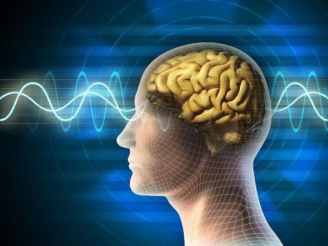 Top 10 Interesting Facts About The Human Brain