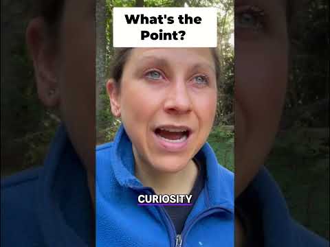 What's The Point of Life? From Apathy to Creating Meaning
