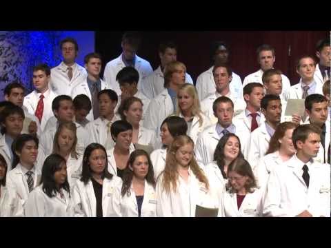 The Four Years of Medical School
