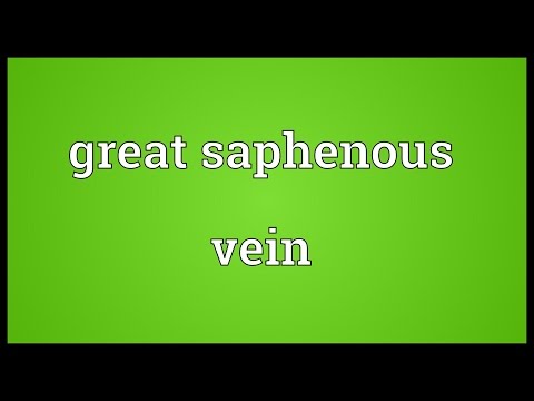 Great saphenous vein Meaning