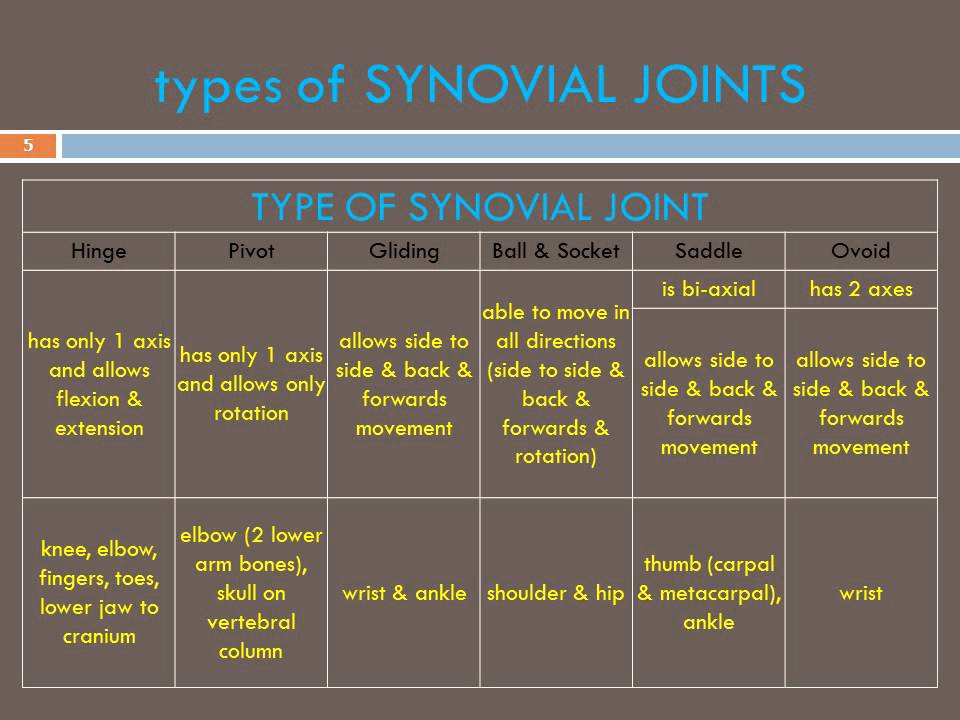 3 Joints power point