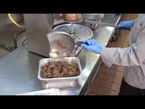 Kronos Gyros Cone Handling & Preparaton