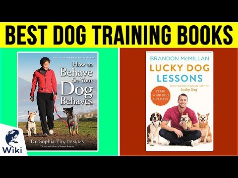 10 Best Dog Training Books 2019