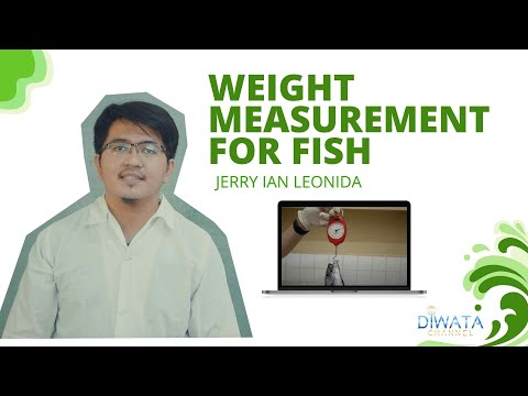 WEIGHT MEASUREMENT FOR FISH