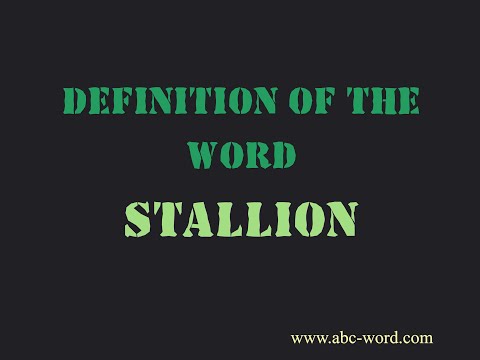 Definition of the word "Stallion"