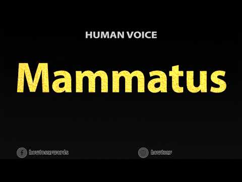 How To Pronounce Mammatus