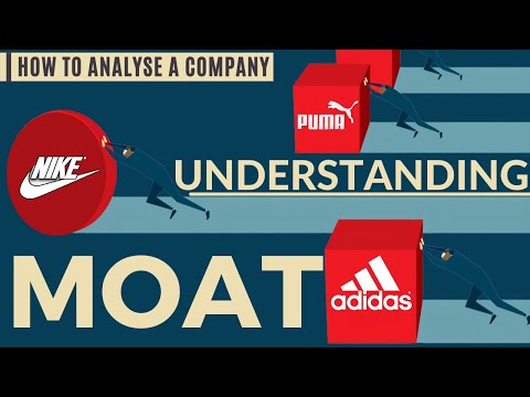 What is Competitive Advantage | Moat | Case Studies | In Hindi