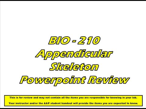 BIO 210 Appendicular Skeleton powerpoints