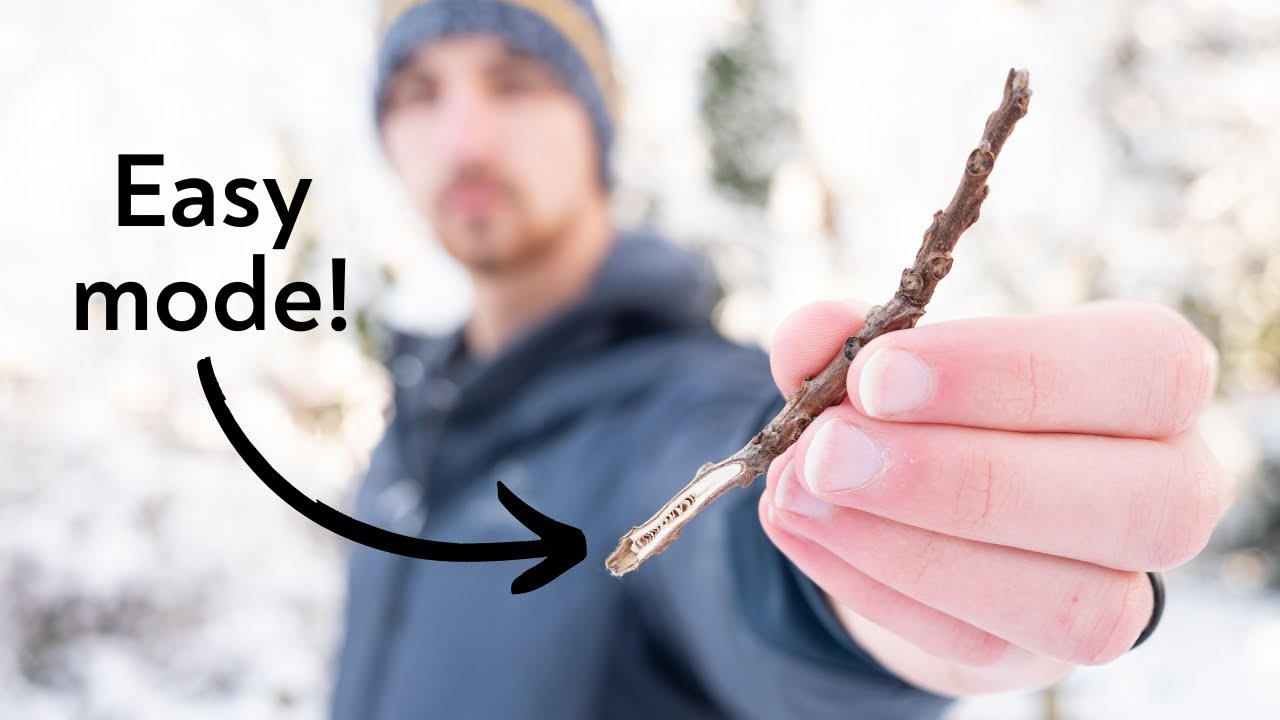 How to Identify ANY Tree in the Winter