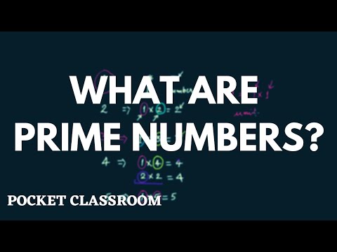 What Are Prime Numbers? || Grade 6