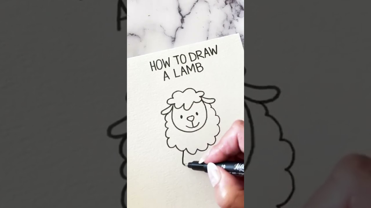 draw a lamb (ver. 2.0)