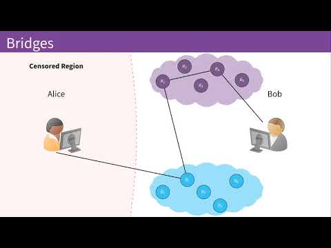 Anonymity loves Diversity: The Case of Tor (Foss-North 2020)