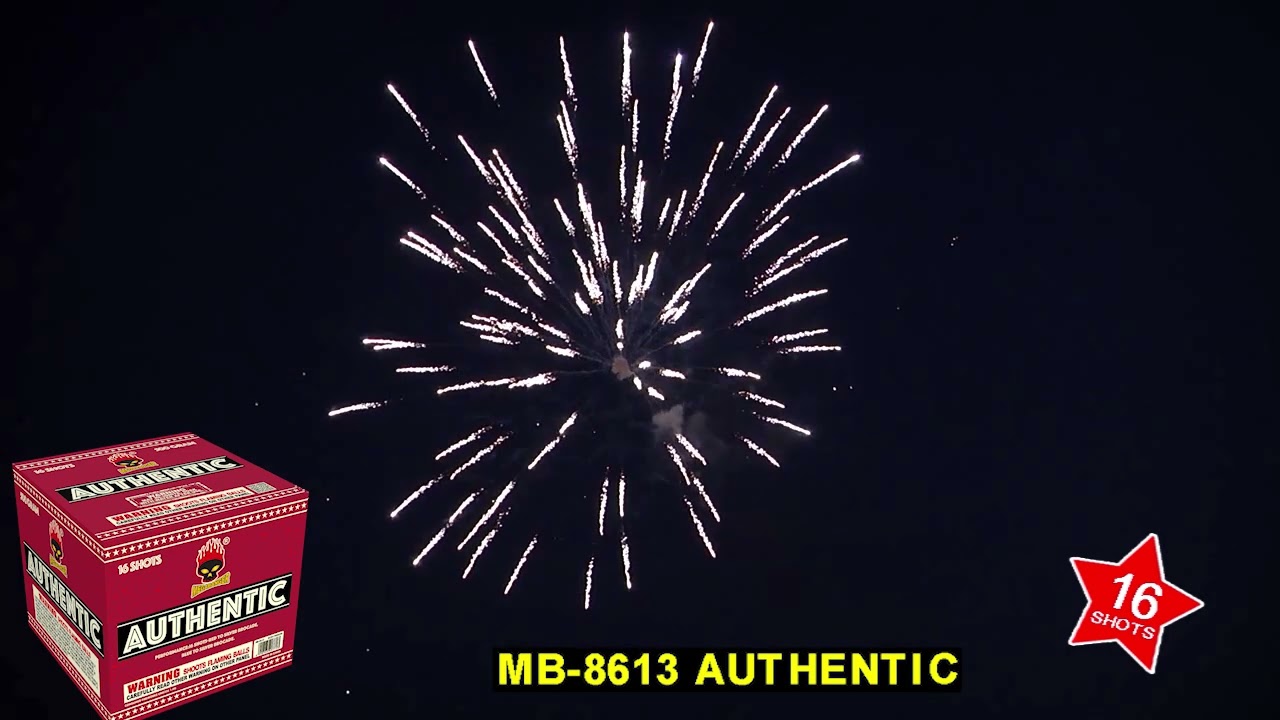 AUTHENTIC MB-8613