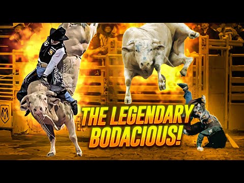 Bodacious, Uncover the Untold Story of a Legendary Bull