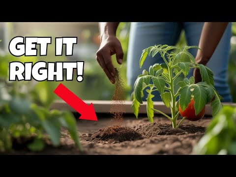 “How to Use Coffee Grounds in Your Garden the RIGHT WAY!”