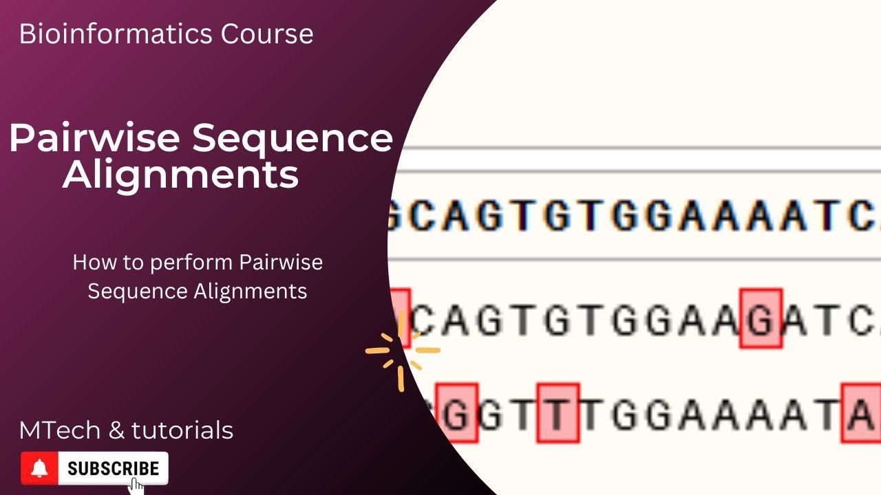 Pairwise Sequence Alignment | Bioedit | EMBL | MEGA X