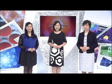 キャスター | Tomoko Tina Kimura