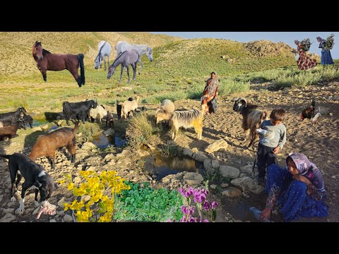 Nomadic life: Nomadic Girls and Natural Springs | Nomadic Girls Herding in the Wild๐โฃ๏ธ