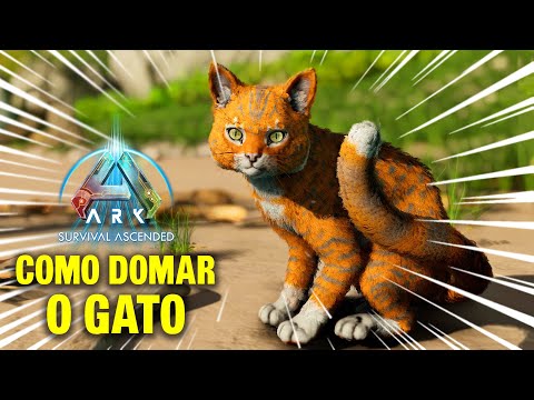 Steam Community :: Video :: O GATO É OFICIAL! VEM APRENDER TUDO SOBRE ...