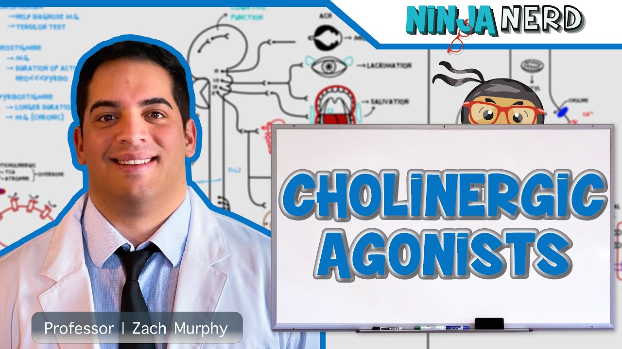 Understanding Cholinergic Agonists: Mechanisms, Uses, and Implications ...