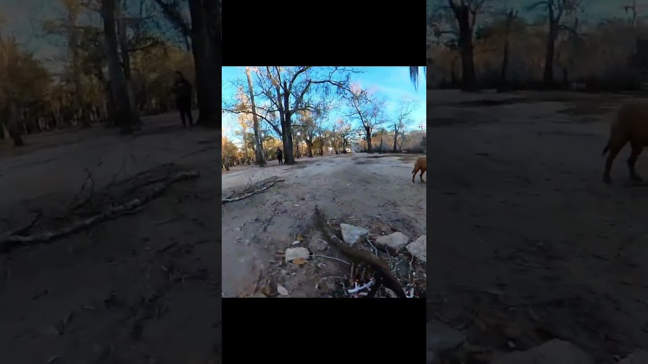 Free Camping in Georgia !