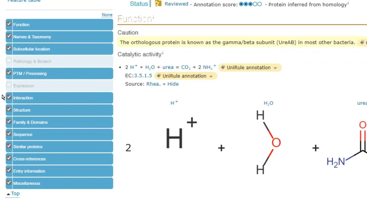 Bioinformatics Lab Exercise 2