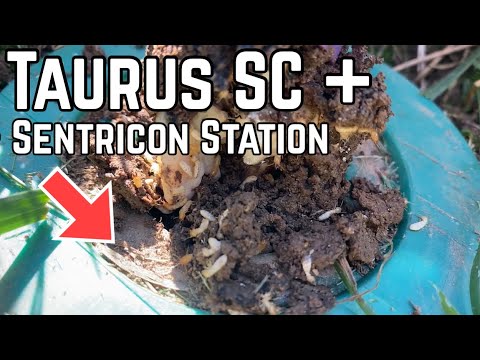 Taurus SC Application + Infested Sentricon Station!