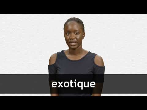 English Translation of “EXOTIQUE” | Collins French-English Dictionary