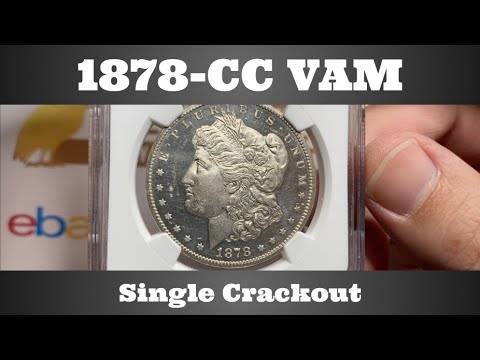 1878-CC VAM Morgan Dollar - Single Crackout