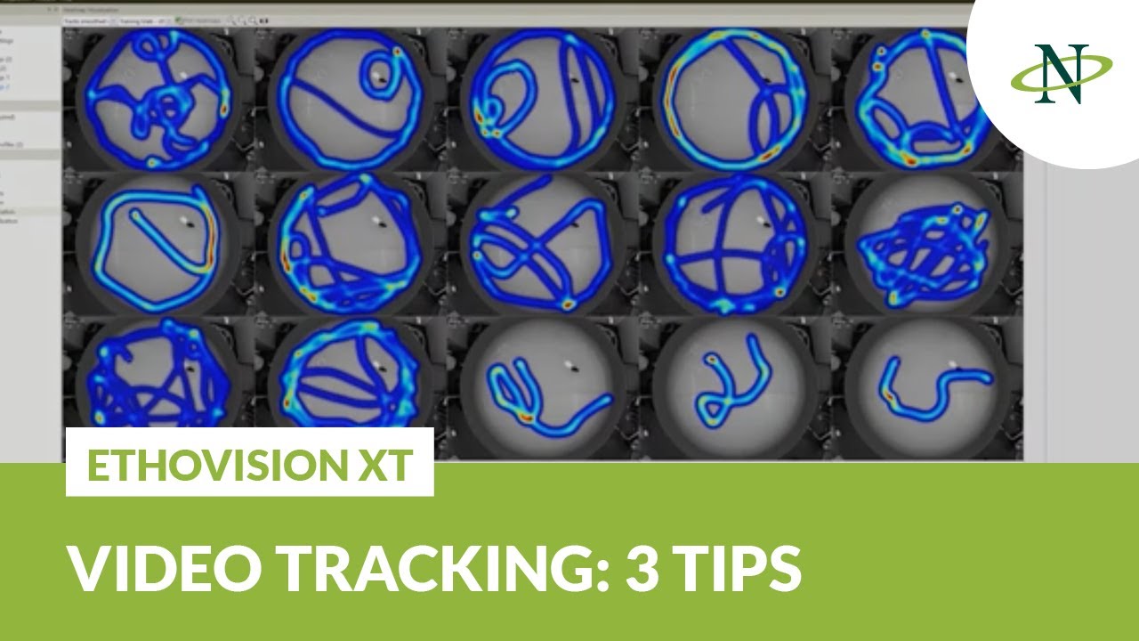 3 tips: How to use EthoVision XT | Noldus Product Demo