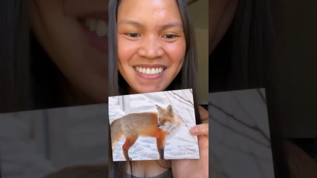 POSTCARD FOX 😍