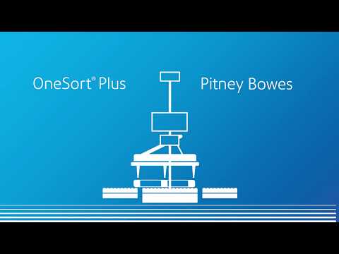 OneSort® Plus handles heavy weight and large dimension pallet-sized loads.