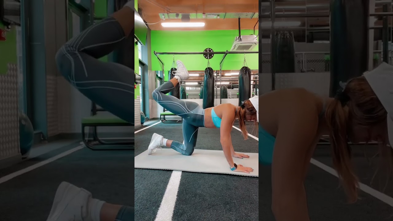 Quadruped Hip Circle