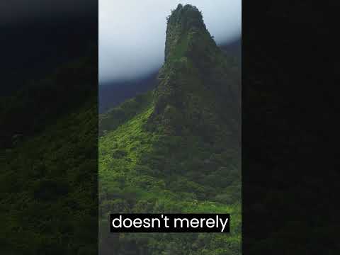 The Wettest Place on Earth