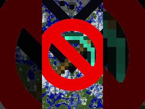This MINECRAFT server has NO RULES!