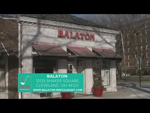 Balaton in Shaker Square: What to expect