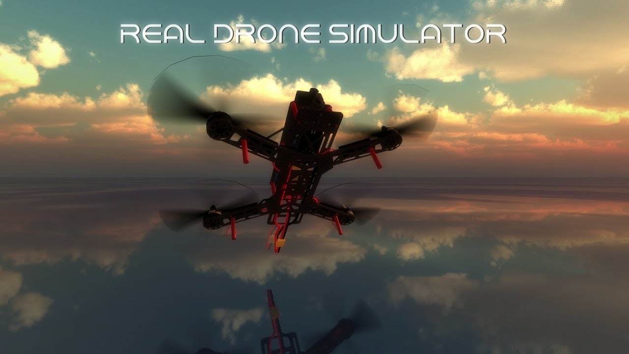 Trying out the 'Real Drone Simulator'