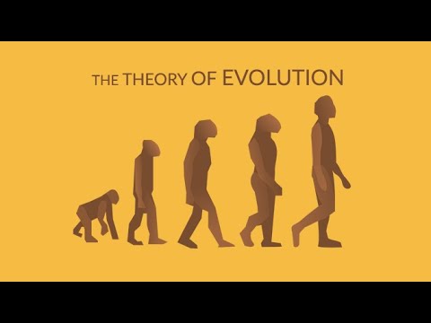 Do We Have the Definition of Evolution Wrong? New Definition of Evolution According to New Article.