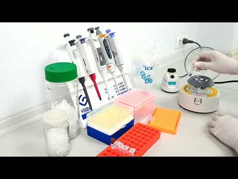PCR master mix preparation