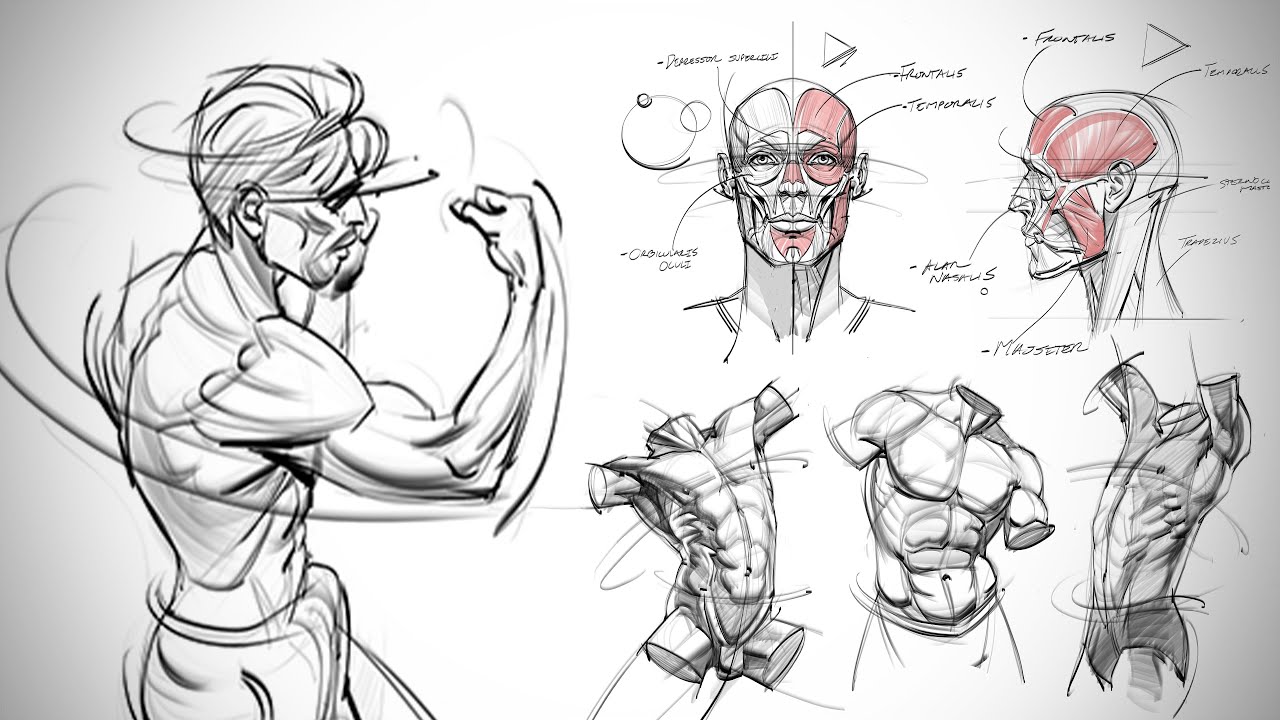 Anatomy Demo with Josh Black