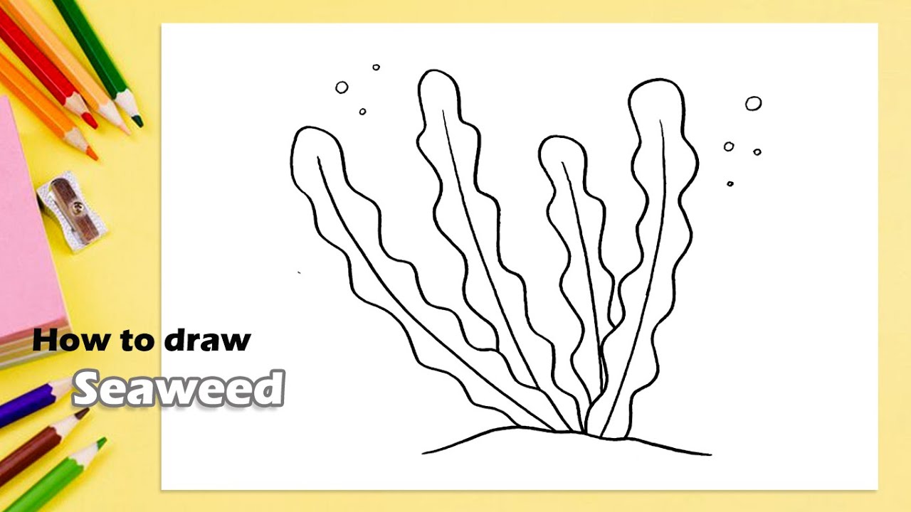 How to draw Seaweed