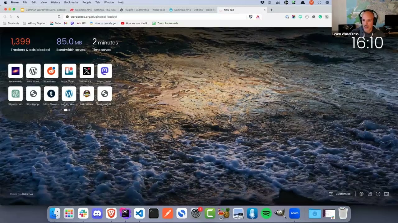 Common WordPress APIs: Settings API