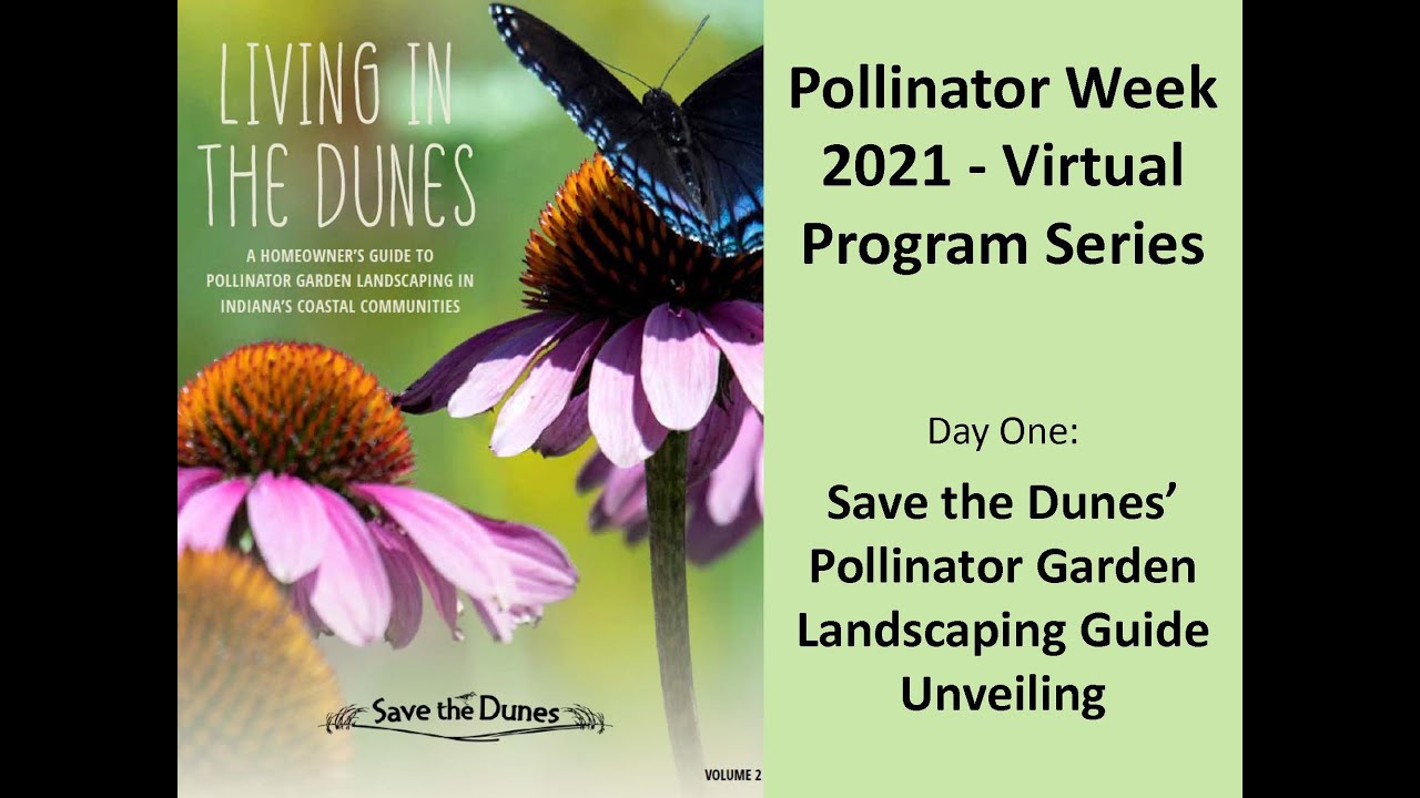 Pollinator Week Virtual Program Series-  Day One: Unveiling Our Pollinator Garden Landscaping Guide