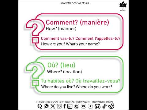 ✍🏻From "Qui? to Quoi?"- unlocking the secrets of interrogative words in French 🧠📚 ✍🏻