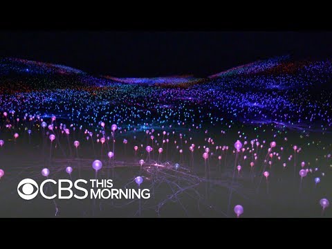 American Wonders: The "Field of Light"